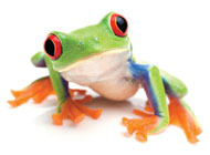 A-5509 - Reflex and Spark Pearlescent Laminates | Bella Laminati